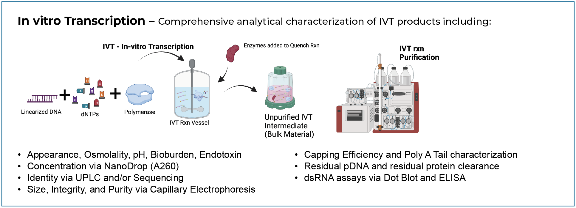 mRNA Analytical Development & Characterization Services
