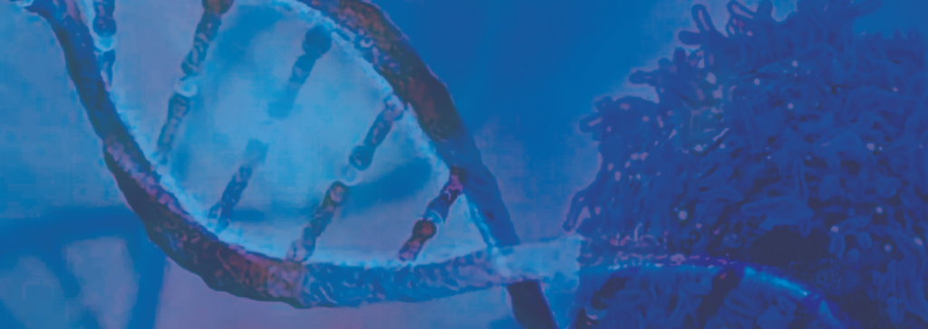 Analysis of Residual CHO Host Cell DNA Using qPCR - BA Sciences